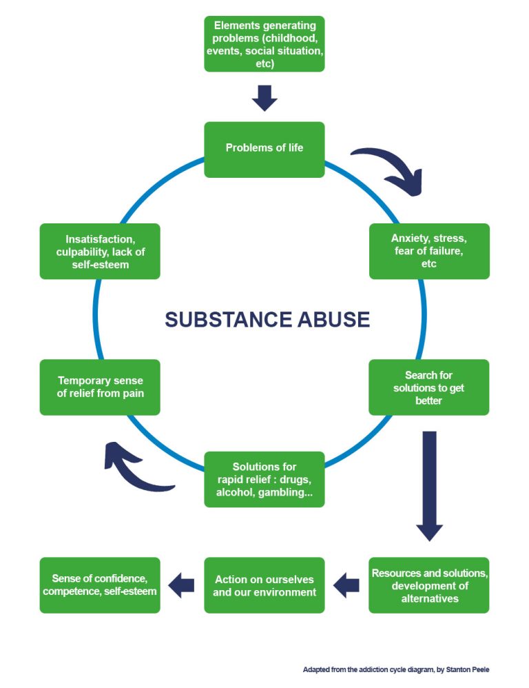 The Addiction Cycle